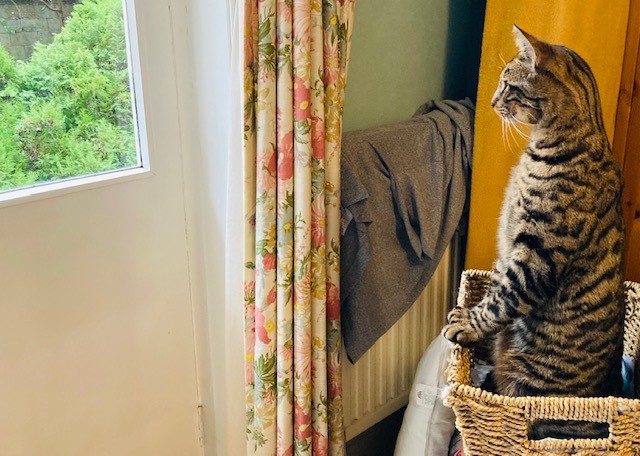 Seeing the Familiar in a New Way – Donald Maass, New York Literary ...